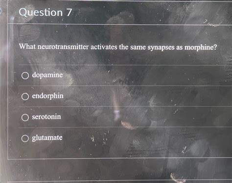 Solved Question 7what Neurotransmitter Activates The Same