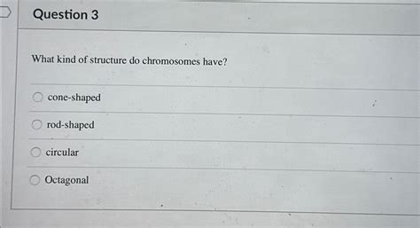 Solved Question 3what Kind Of Structure Do Chromosomes