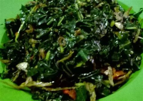 Resep Tumis Daun Pepaya Teri Oleh Diah Sastro Cookpad