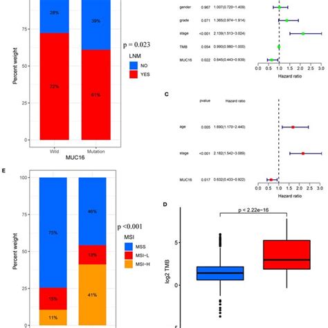 Associations Between Muc16 Mutation Status And Clinicopathological