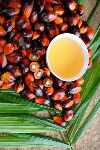 Palm Olein Oil Packaging Type Plastic Bottle Packaging Size 1 Litre