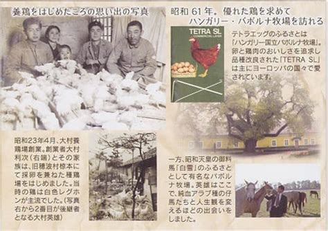 会社概要 最高峰のたまご通販サイト｜大村ファーム