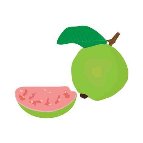 Premium Vector Guava Icon