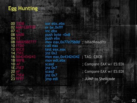 metasploit framework ile exploit gelistirme ppt