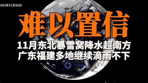 视频去哪了呢？哔哩哔哩bilibili