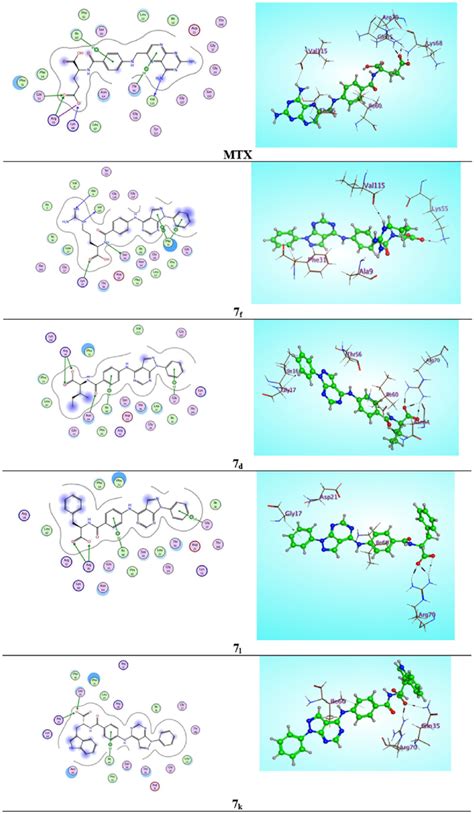 Two Dimensional 2 D And Three Dimensional 3 D Binding Modes And