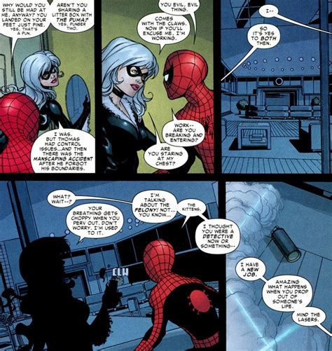 Black Cat And Spiderman Comic