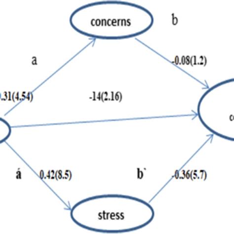 partial least squares‐path coefficient download scientific diagram