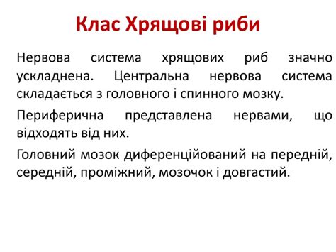 Презентація практична робота № 6 «Порівняння будови головного мозку хребетних тварин