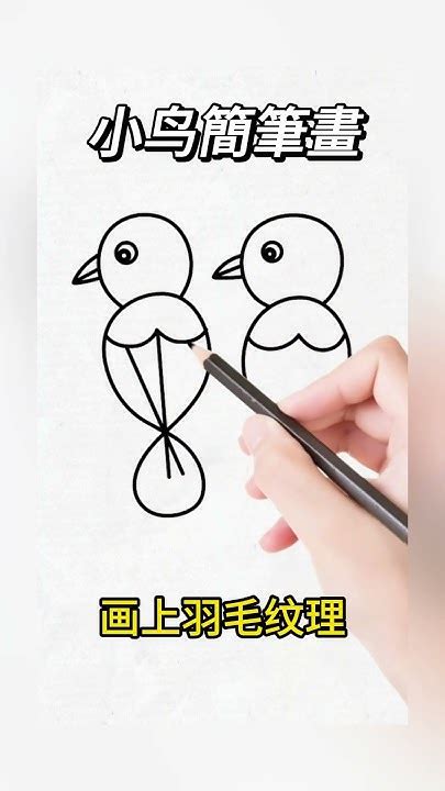 用数字画小鸟简笔画 简笔画教程 Drawing 搞笑 Youtube