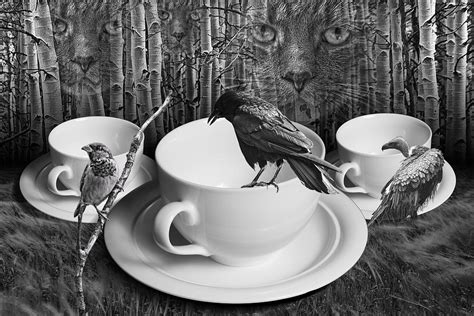 Dreams Of Cutio Photograph By Randall Nyhof Fine Art America