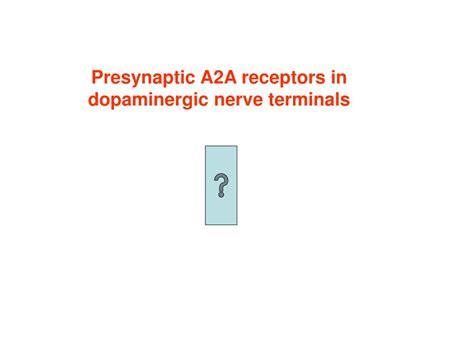 Ppt Adenosine A2a Receptors And Parkinsons Disease Powerpoint