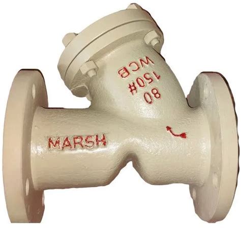 Y Type Strainer At 1800 00 Inr In Ahmedabad Gujarat Mash Valves