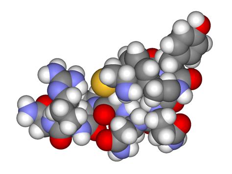 Vasopressin Structure