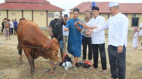Polres Pringsewu Lampung Kurban 2 Sapi Dan 8 Ekor Kambing