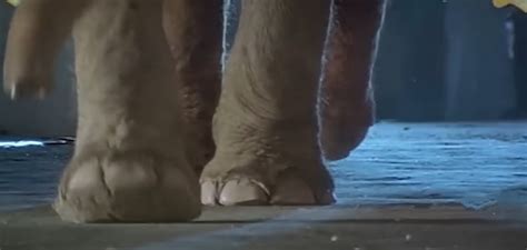 Guess This Goosebumps Scene 🔥🔥 Rkollywood