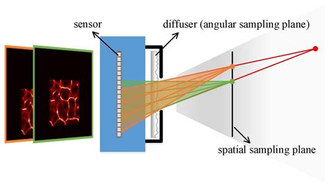 Microlens Array Based Light Field Imaging Generally Suffers From Trade
