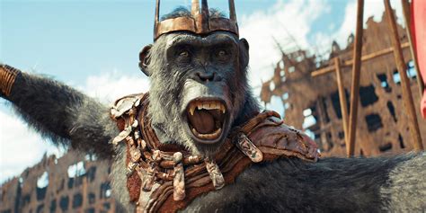 10 Movies To Watch If You Liked Kingdom Of The Planet Of The Apes
