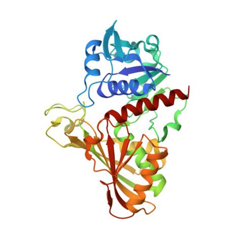 Gene P04406 Protein Gapdh Domains And Structures Cansarai