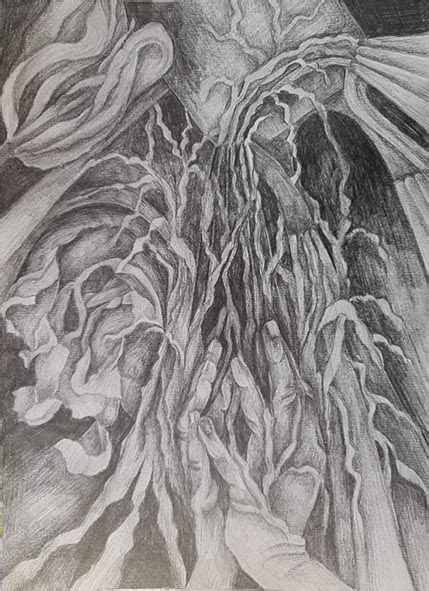 Tree Trunk Pencil Drawing