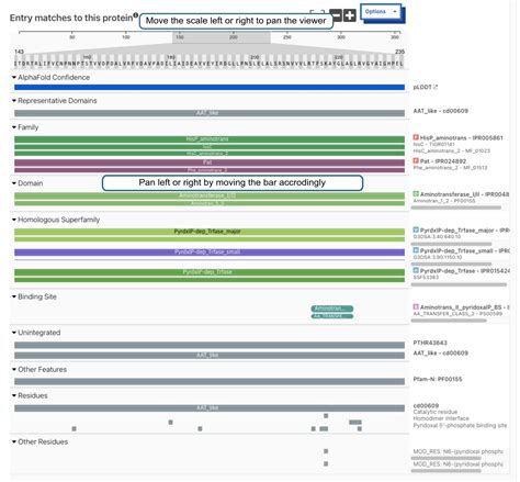 Protein Sequence Viewer — Interpro Documentation