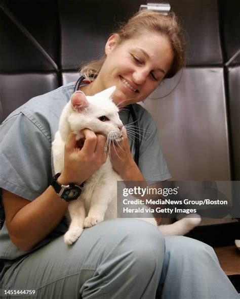 Angell Animal Medical Center Photos And Premium High Res Pictures