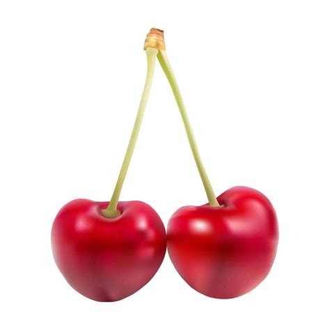 Juicy Red Cherry 42680915 Vector Art At Vecteezy