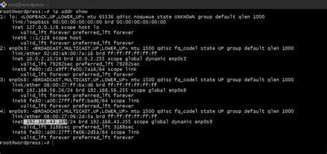 Deploying Wordpress On Ubuntu Vm With Lamp Stack A Step By Step Guide