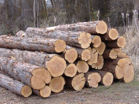 Logs On Logs On Logs Aggregation At Yammer By Engineering Yammer