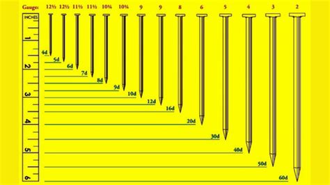 Nail Sizes For Framing What Size Nails Do You Need For Framing Nail