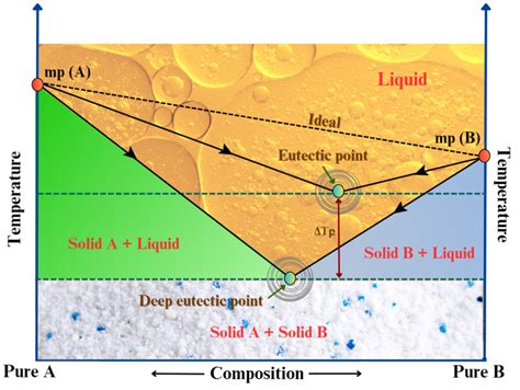 Different Phases With A Composition Of A And B In A Typical Eutectic Download Scientific