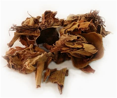 Mu Mian Hua Gossampinus Malabarica Flower Chinese Herbal Products