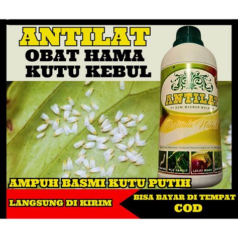 Jual Pestisida Antilat Obat Hama Kutu Putih Kutu Kebul Pada Daun