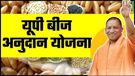 यूपी बीज अनुदान योजना 2023 Pm Yojana