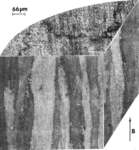 3d Om Composition Showing Columnar Grain Structure For Ebmfabricated