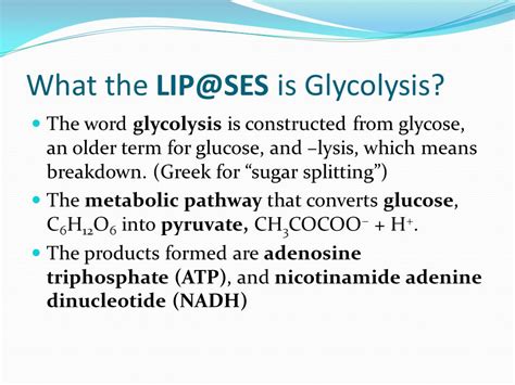 The First Step Of Cellular Respiration What The Is Glycolysis The