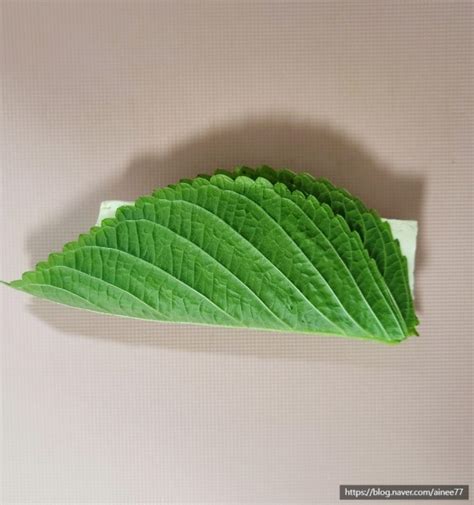 알토란 두부장 만드는 법 두부장아찌 깻잎장아찌 간장양념장 이원일 레시피두부요리 깻잎요리 초간단 밑반찬