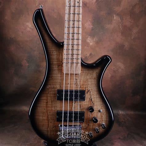 Esp WS Type Spalted Flame Maple 3 95kg 2000 0 Bass For Sale TCGAKKI