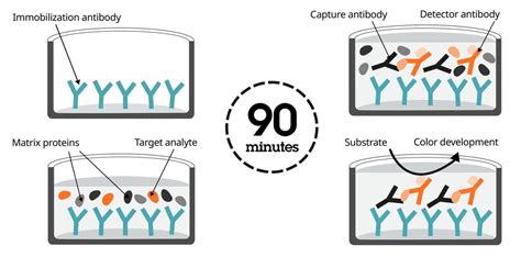 Simplestep Elisa Kits Abcam