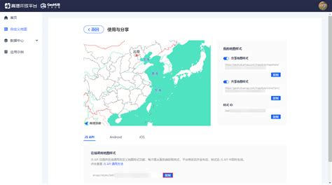 自定义高德地图gis图层 Finereport帮助文档 全面的报表使用教程和学习资料