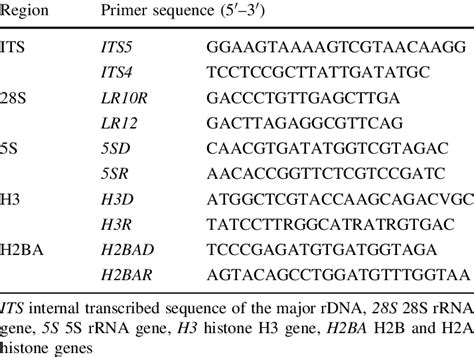 Combinations Of Primers Used In The Pcr Amplification Download Table