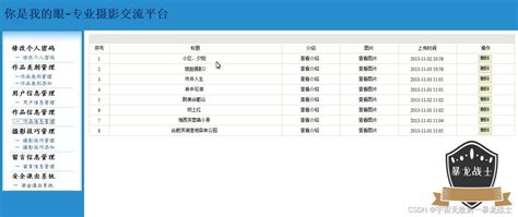 Javaweb摄影网 Csdn博客