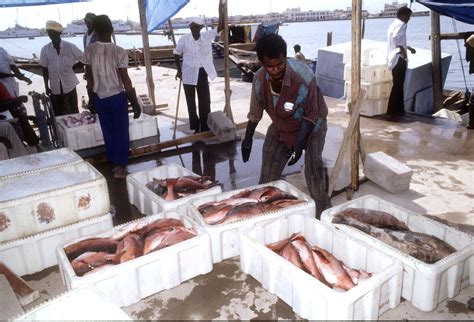 Eritrea Becomes Party To The Psma Agreement On Port State Measures