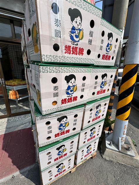 珅季水果行 今天超過270顆可以挑～正宗泰國媽媽牌金枕頭榴蓮～今天特價中～趕快來挑肉肉～濃醇香～