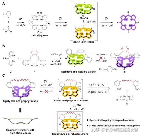 西湖大学刘志常团队materials Today Chemistry：利用分子张力工程精确调控化学反应路径的选择性——选择性机械捕获