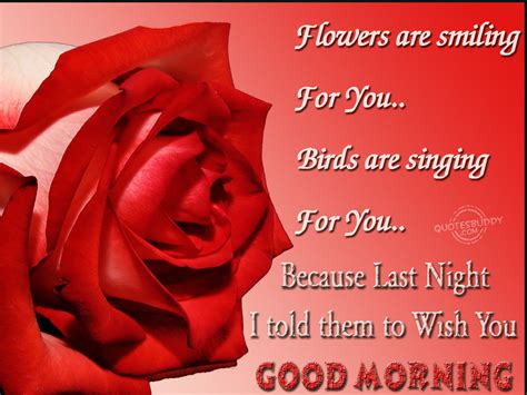 Good Morning Sexy Love Quotes Quotesgram