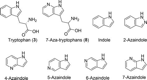 Tryptophan Structure At Ph 7