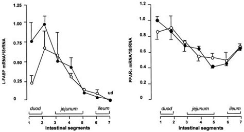 Effect Of Pparα Gene Disruption On The L Fabp Left Panel And Pparδ