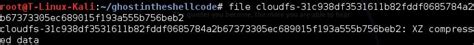 ghost in the shellcode 2015 ctf write up for cloudfs challenge r