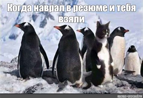 Meme Когда наврал в резюме и тебя взяли All Templates Meme